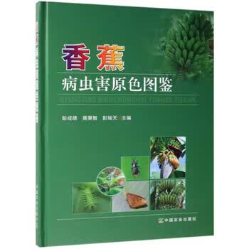 香蕉病虫害原色图鉴9787109243699中国农业