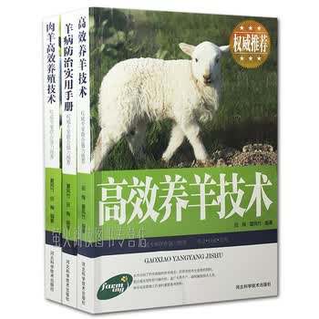 高效养羊系列 全3册  肉羊高效养殖技术 山羊绵羊羔 羊病防治实用手册等 新农村畜牧养殖技术大全书籍