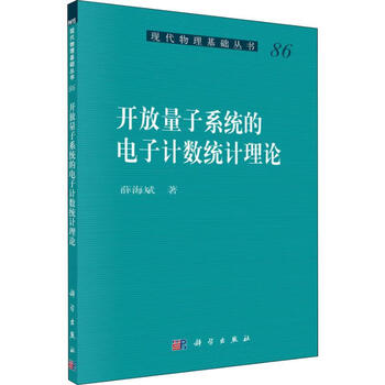 开放量子系统的电子计数统计理论