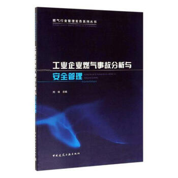 工业企业燃气事故分析与管理 经济 书籍