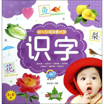 识字（2-6岁）/幼儿认读启蒙大书