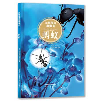 动物美绘翻翻书:蚂蚁