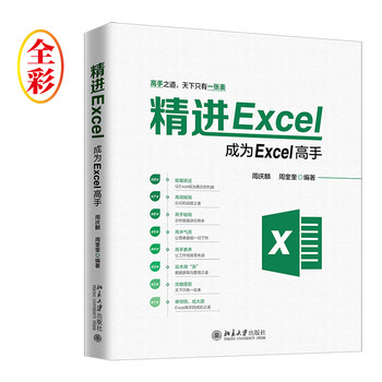 精进Excel：成为Excel高手（全彩）