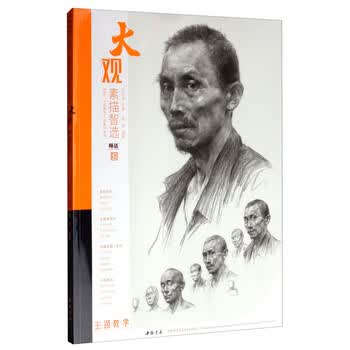 师语·主题教学大观系列丛书：大观素描智选