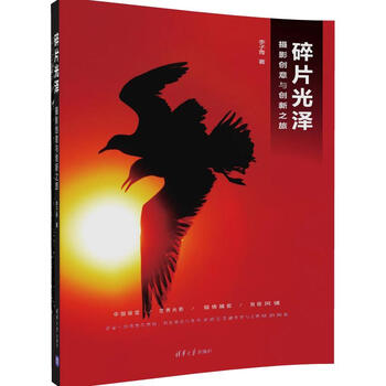 碎片光泽 李子青 清华大学出版社 9787302460602
