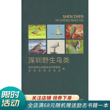 深圳野生鸟类