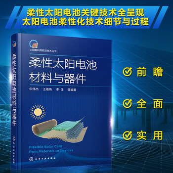 太阳能利用前沿技术丛书--柔性太阳电池材料与器件