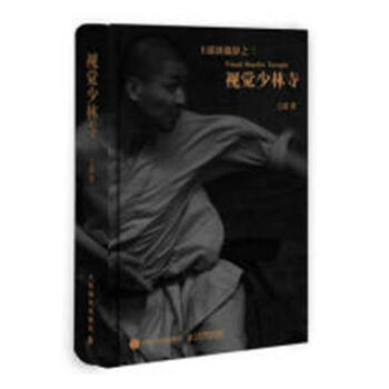 视觉 摄影 王瑶著 人民邮电出版社 9787115466884