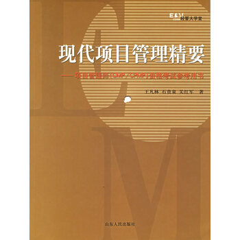 现代项目管理精要 王凡林 等著【正版书】
