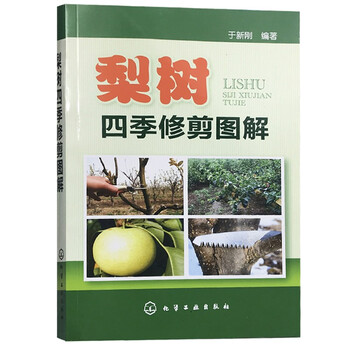 梨树四季修剪图解 农业科学种植技术书籍