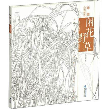 闲花野草-唯美白描精选