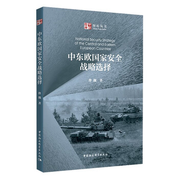 中东欧国家安全战略选择