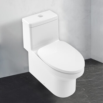 德国唯宝（Villeroy&Boch） 进口卫浴陶瓷连体虹吸式座厕 4607A001 唯宝虹吸式连体座厕4607A001【图片 价格 品牌 ...