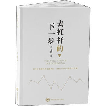 去杠杆的下一步 娄飞鹏 著 货币金融学股票炒股入门基础知识 个人理财期货投资书籍 新华书店官网正版图书籍
