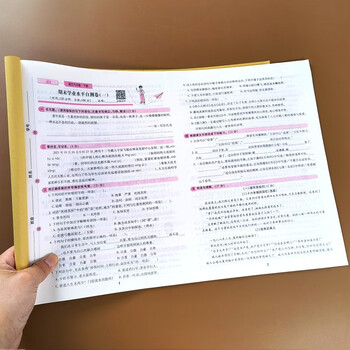 【科目自选】培优小状元期末复习真题卷六年级下册部编人教版必背打卡计划冲刺模拟考试综合 语文 6下 人教版