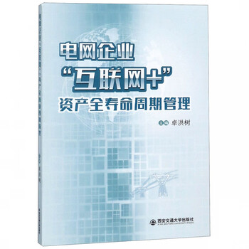 电网企业互联网+资产全寿命周期管理