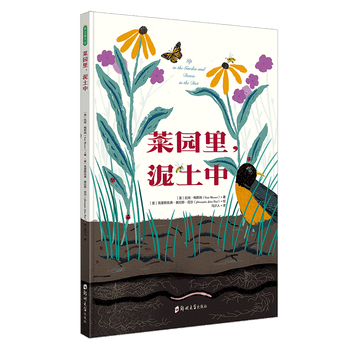 菜园里泥土中