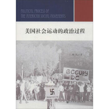 美国社会运动的政治过程