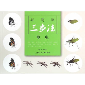 草虫-写意画三步法