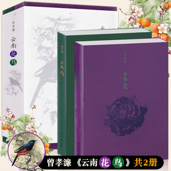 【预售加购】正版自选 《云南花鸟全2册 云南花+云南鸟》《花叶(科学生物画十幅礼盒装)大尺幅原稿复刻》 画集中国生物画动物植物科普画册鸟类花类大百科书籍 云南花鸟全2册 云南花+云南鸟（定价196元）