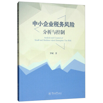 中小企业税务风险分析与控制