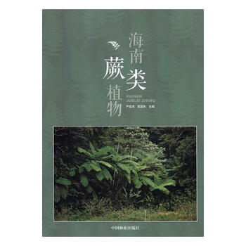 海南蕨类植物