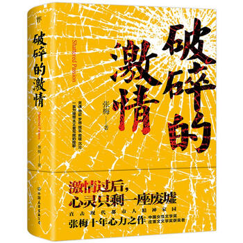 破碎的激情  小说 书籍