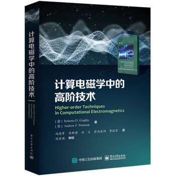 计算电磁学中的高阶技术
