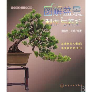 图解盆景制作与养护/家庭园艺DIY系列