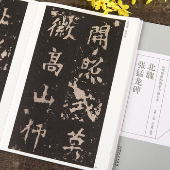 张猛龙碑 全文放大版 历代碑帖经典单字放大本 简体旁注 北魏魏碑楷书碑帖书法毛笔字帖 安徽美术出版社