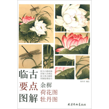 余穉荷花图牡丹图