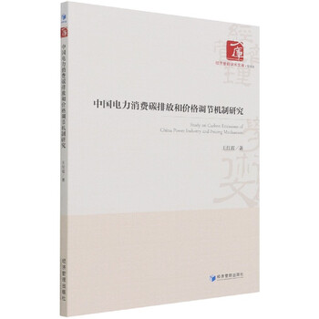 中国电力消费碳排放和价格调节机制研究/经济管理学术文库 王红霞
