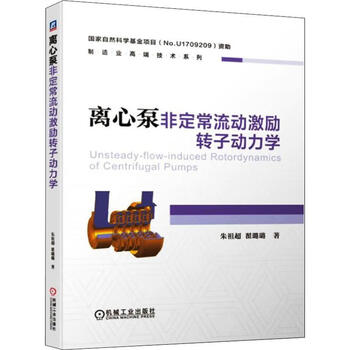 离心泵非定常流动激励转子动力学