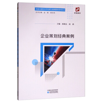 企业策划经典案例