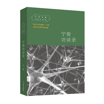 宁肯访谈录（宁肯文集）