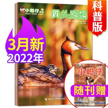 1-5月现货【全年订阅】小聪仔（科普版）杂志2022年6月-2023年5月共12期打包【另有新期现货及1月起订可选】2~8岁幼儿益智兴趣智力开发低年级儿童科普百科自然探索奥秘非2021过期刊 2022