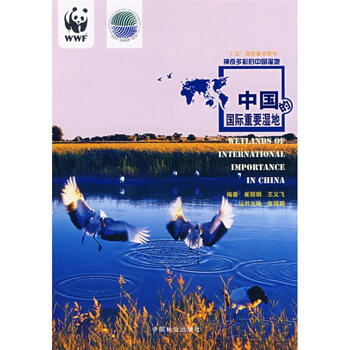 中国的国际重要湿地