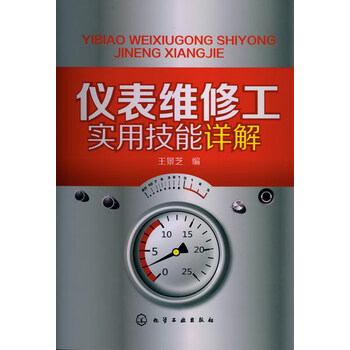 仪表维修工实用技能详解 王景芝 编