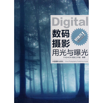 数码摄影用光与曝光 摄影 书籍 分类 光线与构图