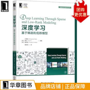 现货包邮 深度学习：基于稀疏和低秩模型8083854