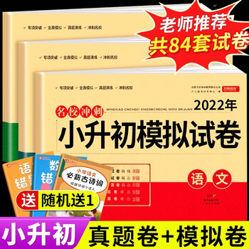 2021小升初真题卷刷题人教版语文数学英语部编六年级下册总复习教辅资料全套专项训练模拟试卷卷子 3册 小升初模拟试卷 语数外