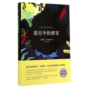 迷宫中的将军(精)