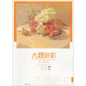 正版 大观色彩:色调篇9787514922561