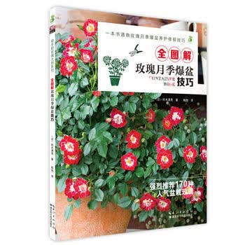 全图解玫瑰月季爆盆技巧 铃木满男