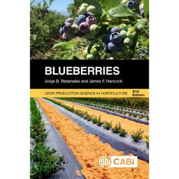 Blueberries