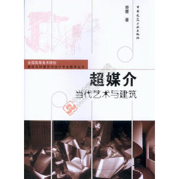 超媒介——当代艺术与建筑  费菁