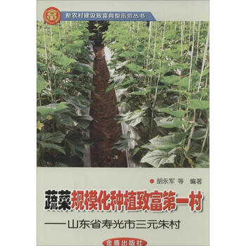 蔬菜规模化种植致富第一村