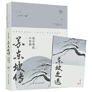 拣尽寒枝不肯栖-苏东坡传