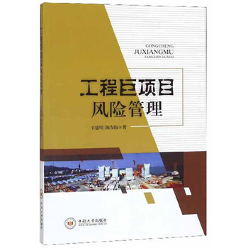 工程巨项目风险管理