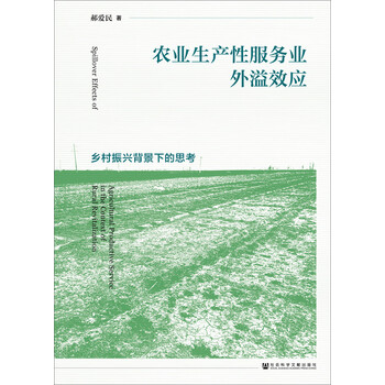 农业生产性服务业外溢效应：乡村振兴背景下的思考